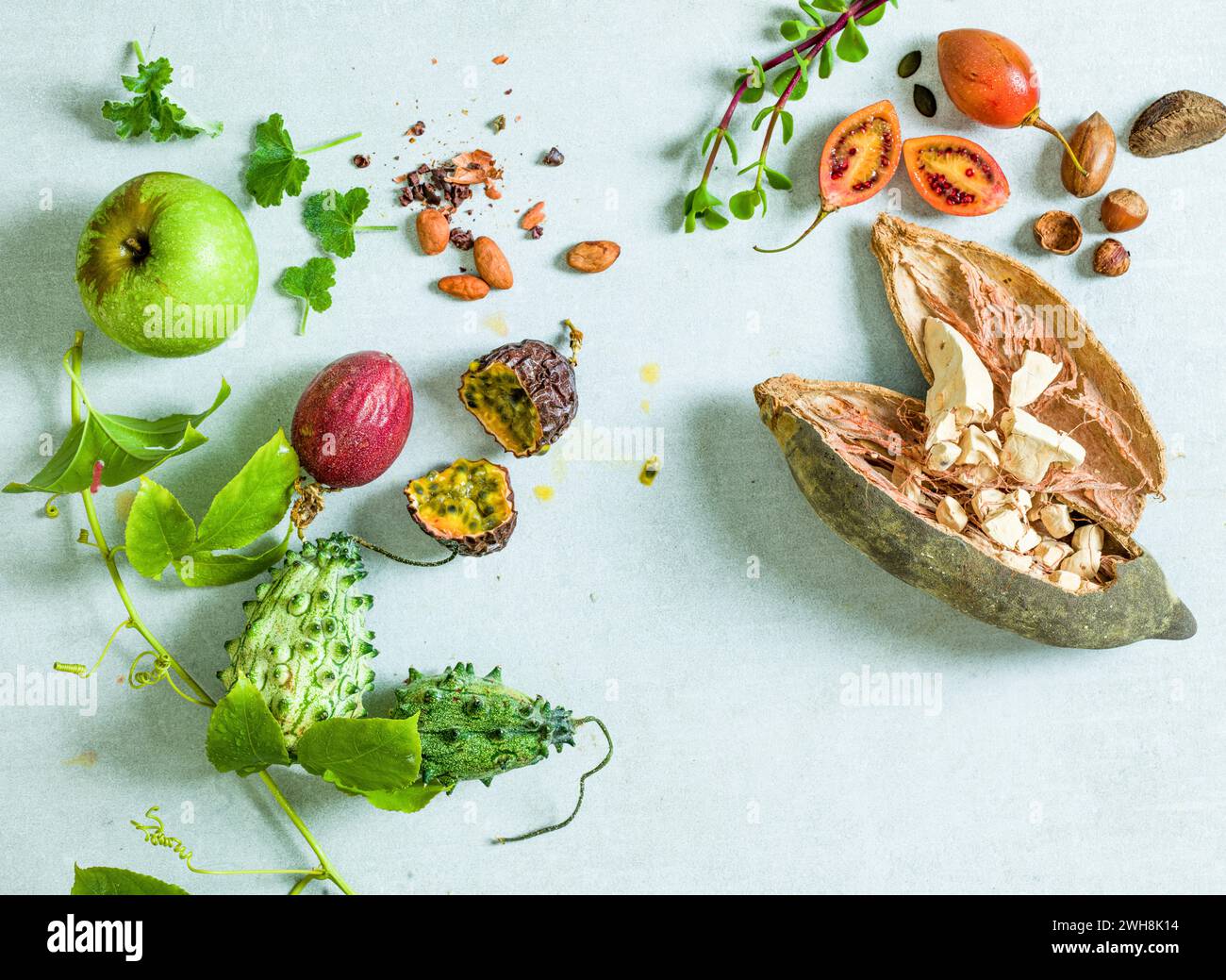 Selection of wild foraged foods of Southern Africa Stock Photo - Alamy
