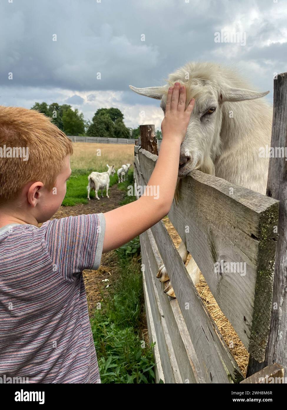 Child touch head hi-res stock photography and images - Alamy