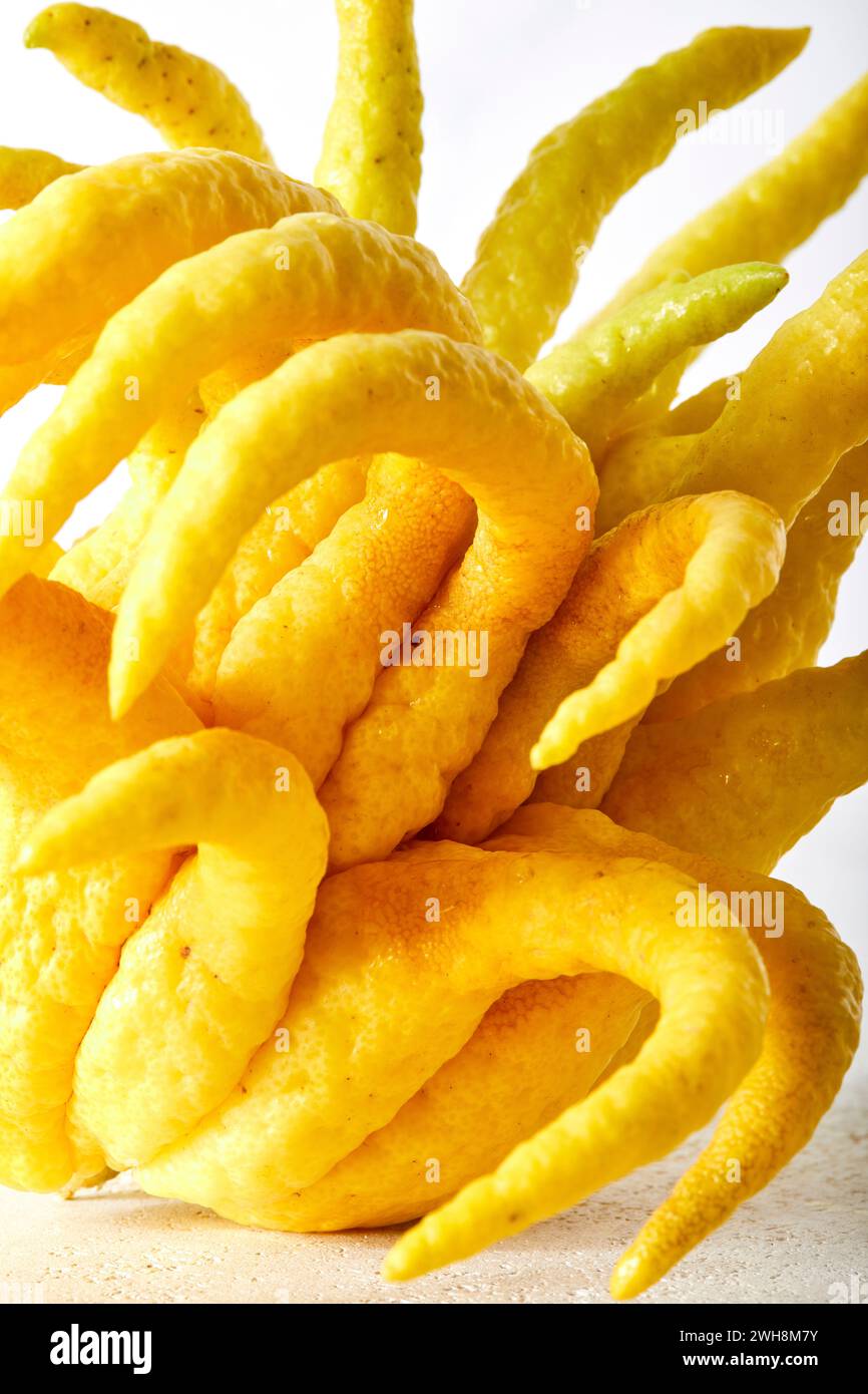 Buddhas hand lemon citrus hi-res stock photography and images - Alamy