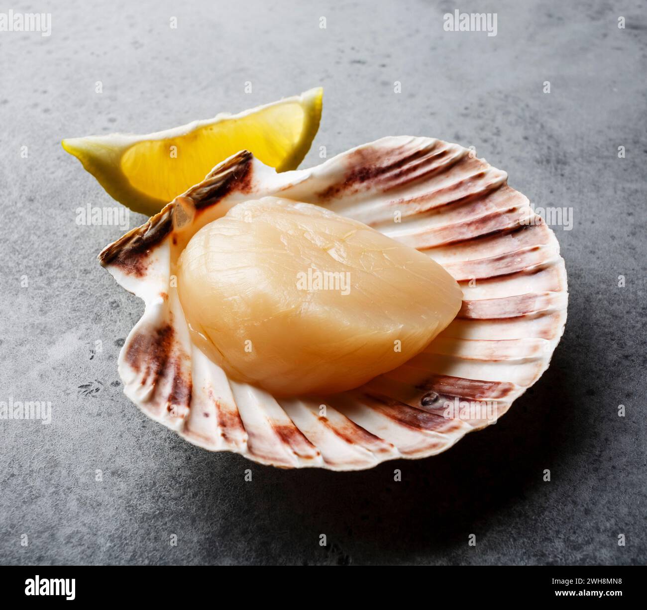 Queen scallop hi-res stock photography and images - Alamy