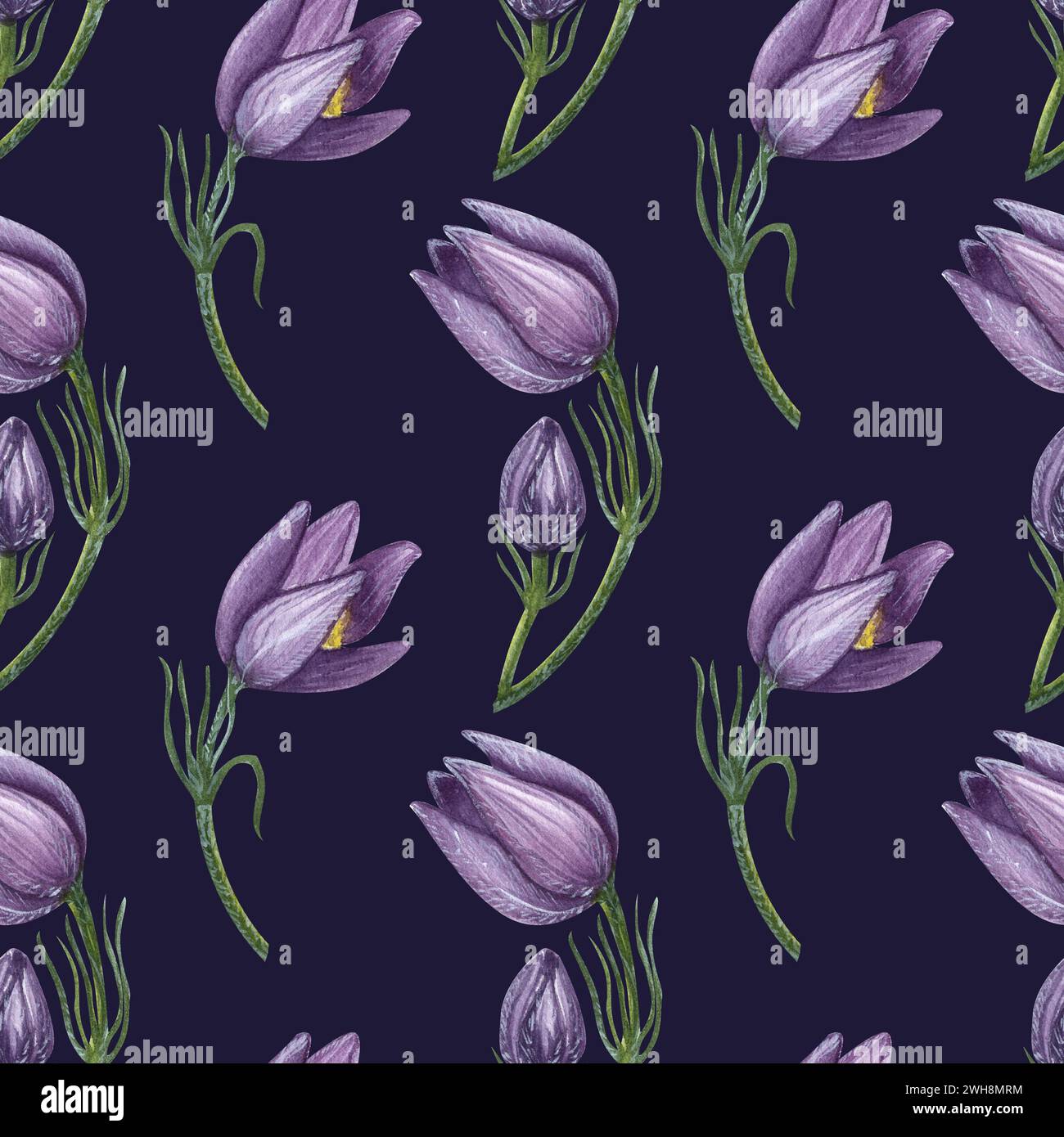 Purple flower seamless pattern. First spring wild Pulsatilla, Eastern ...