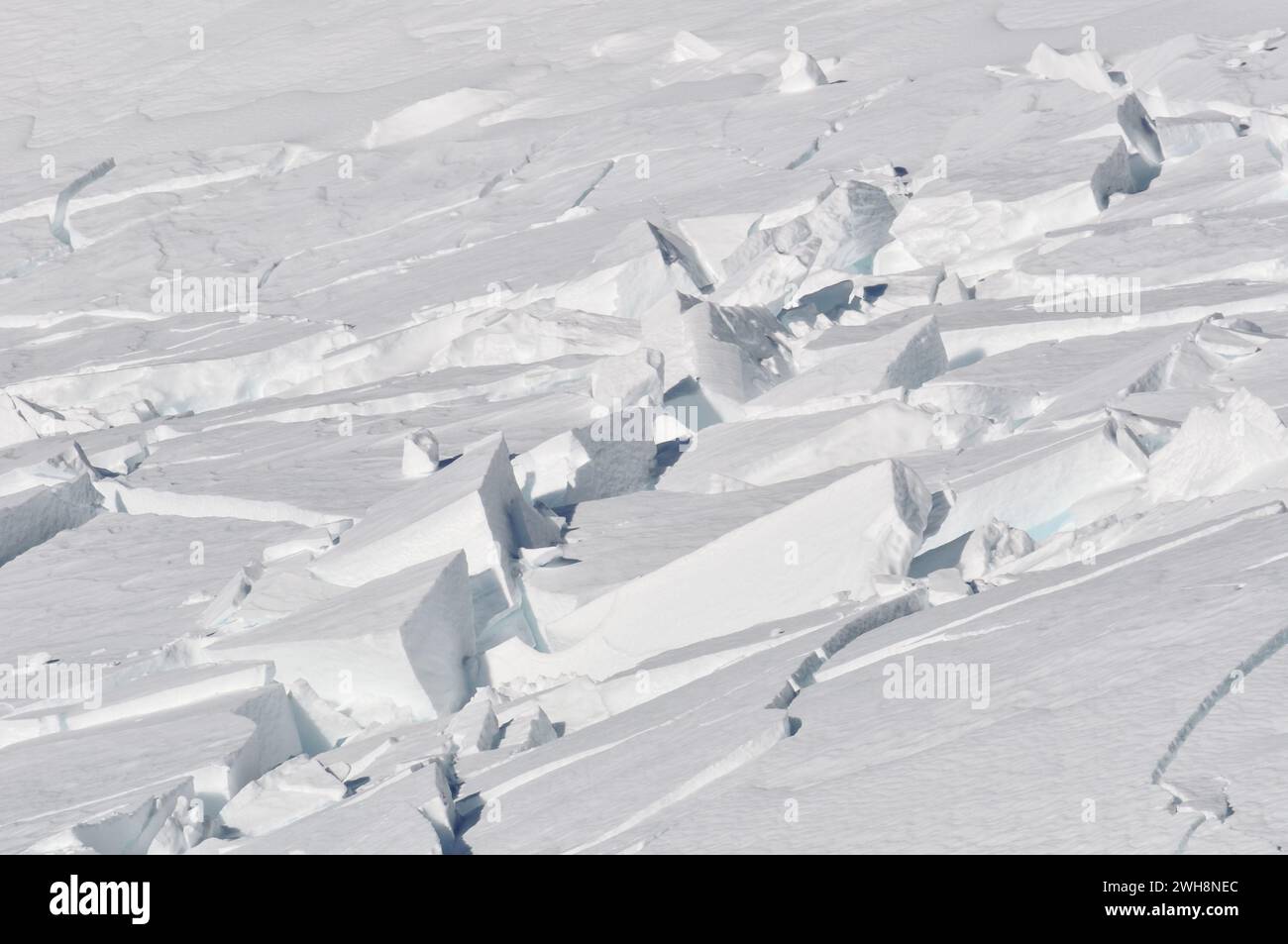 Snow blocks caused by melting of the snow during a winter with high ...