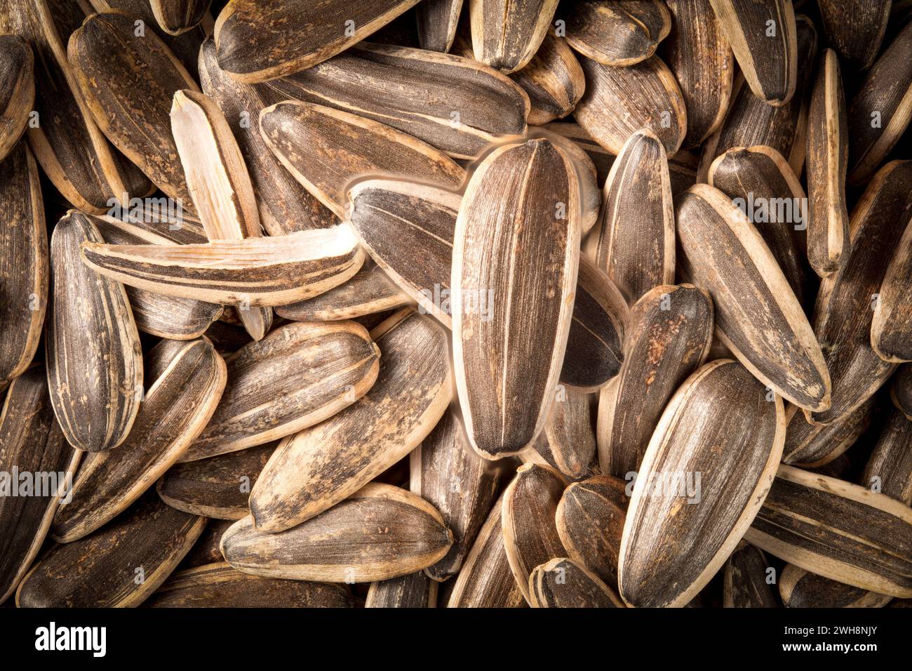 High resolution, print ready, exotic, macro, food still-life ...