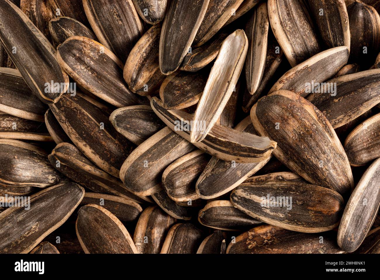High resolution, print ready, exotic, macro, food still-life ...