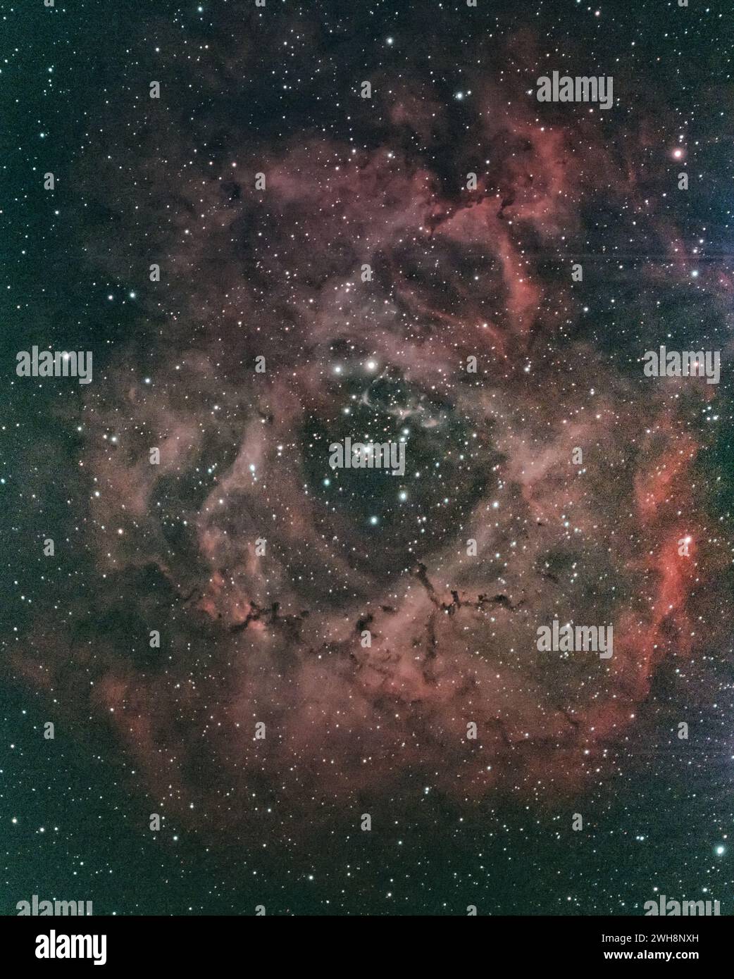 Stellar dust hi-res stock photography and images - Alamy