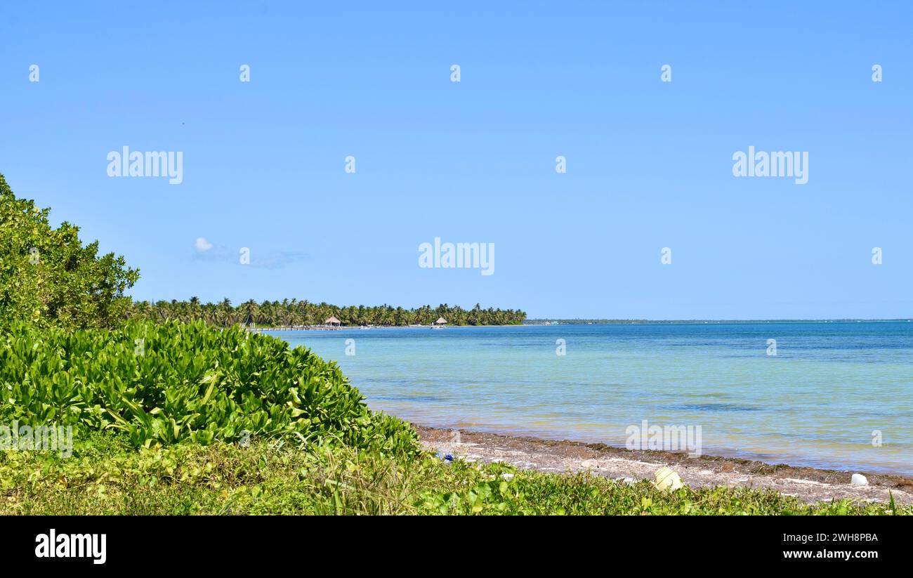 The beautiful coastline of north Ambergris Caye, Belize, Central ...