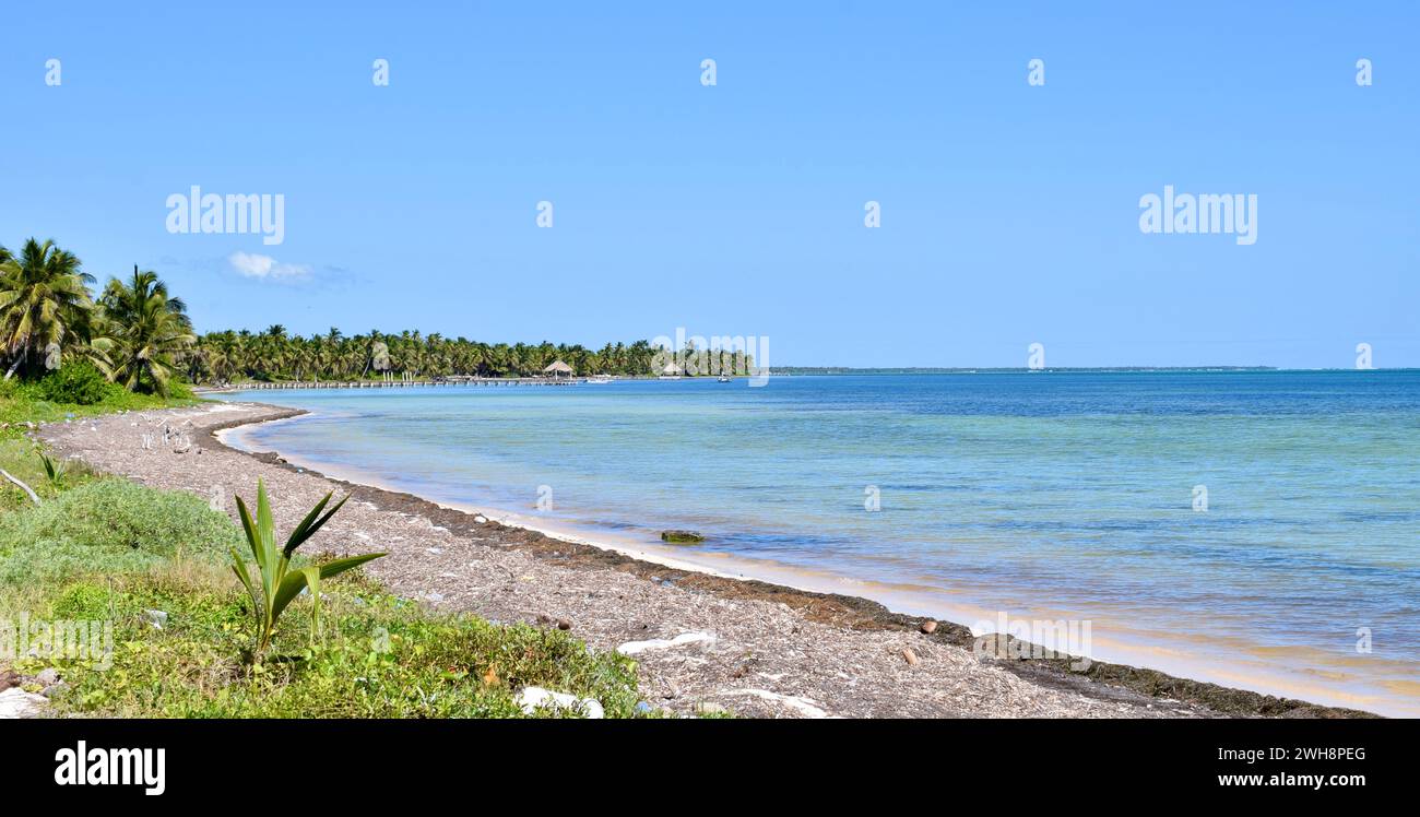 The beautiful coastline of north Ambergris Caye, Belize, Central ...