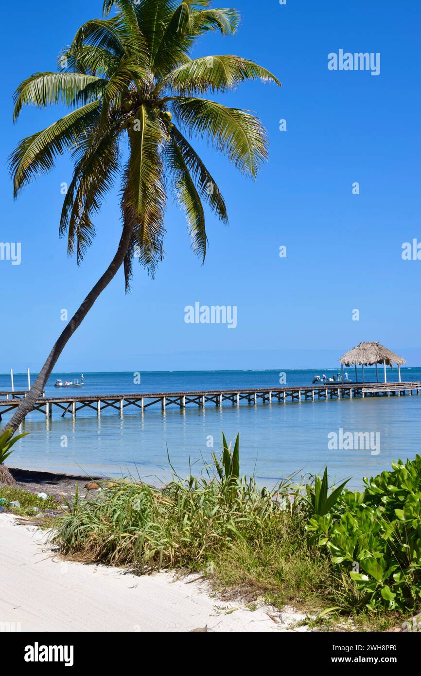 Belizean fishermen fishing in clear, blue waters on a sunny day on ...