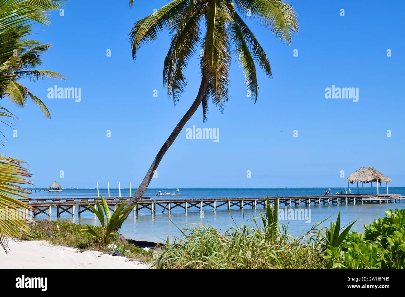 Belizean fishermen fishing in clear, blue waters on a sunny day on ...