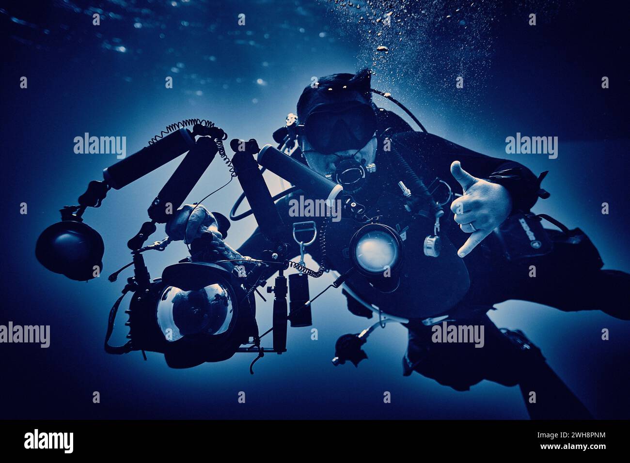 The beauty of the underwater world - underwater photographer with ...