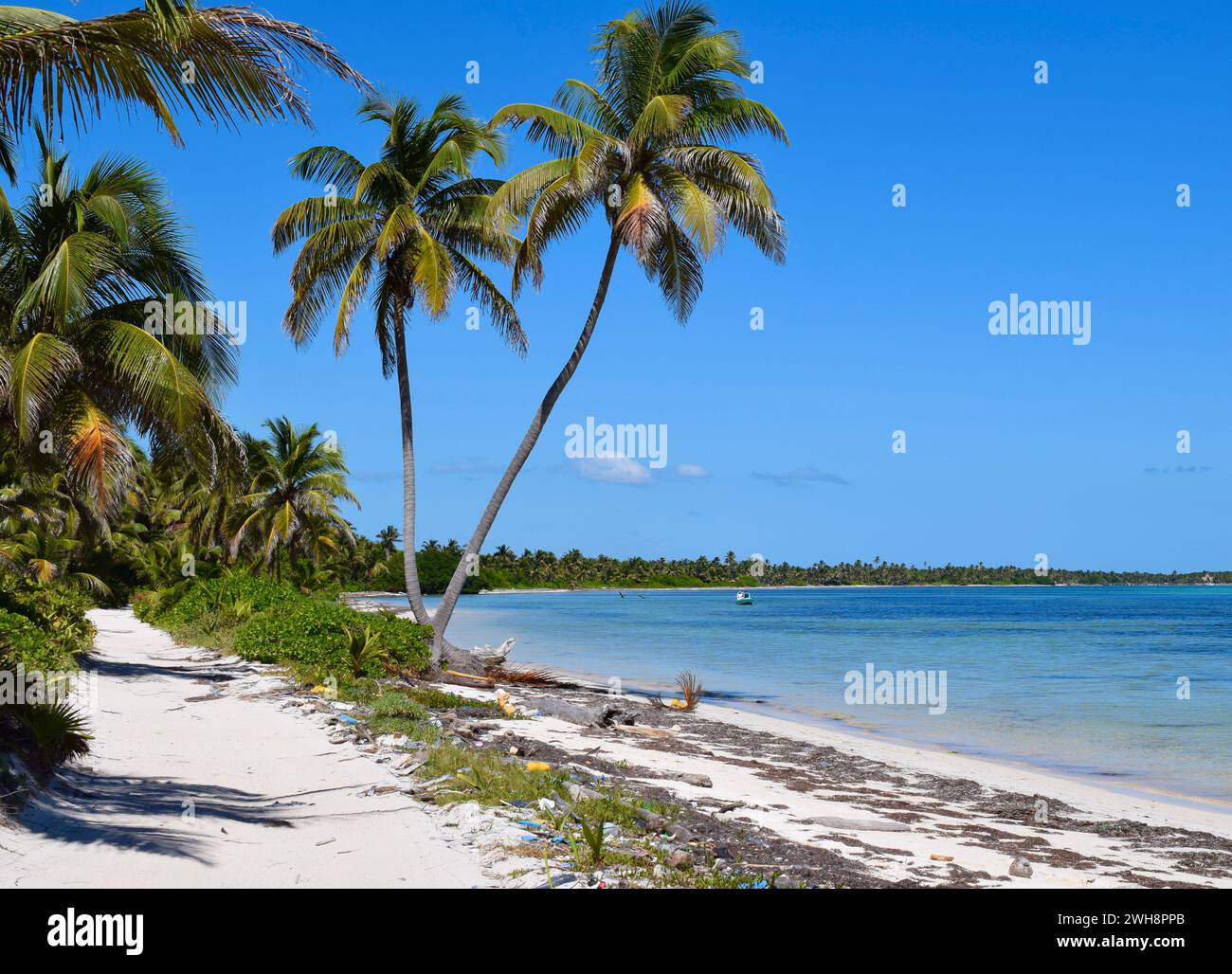 A beautiful, sunny day with clear water and a sandy beach on north ...