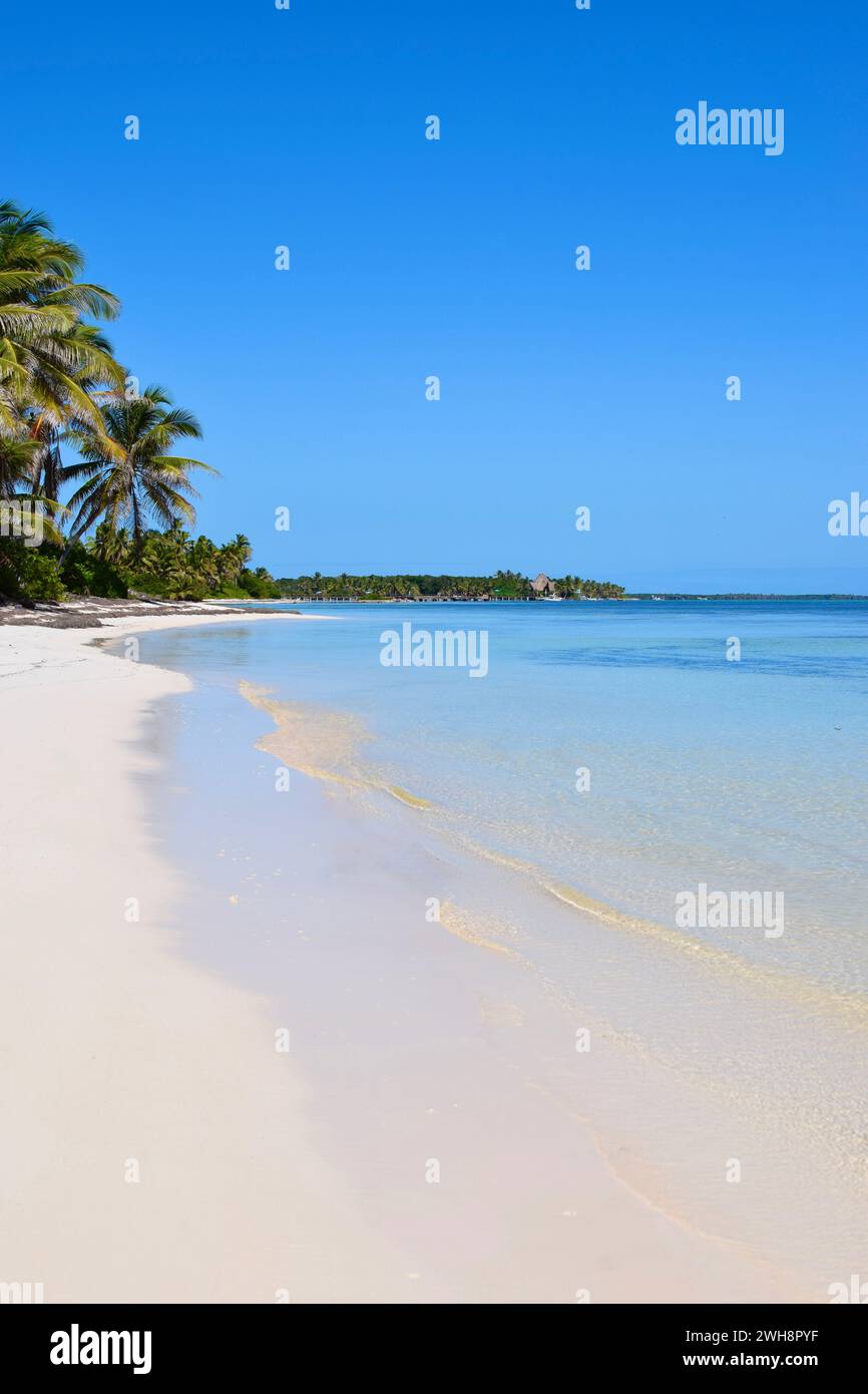 A perfect beach in paradise with blue sky, clear water, and palm trees ...