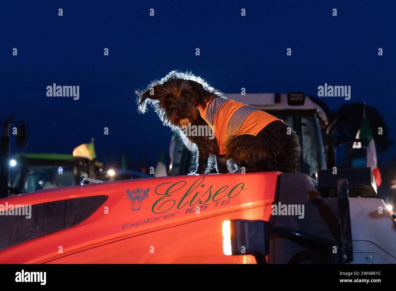 Rome, Italy. 08th Feb, 2024. A farmer with his dog on the tractor ...
