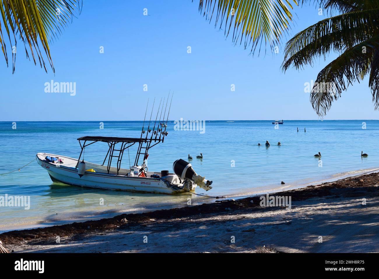 A boat on a beach with tourists swimming in clear waters on north ...