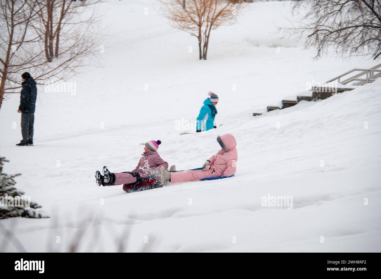 Winter moments and the beauty of winter People ride cheesecakes down ...