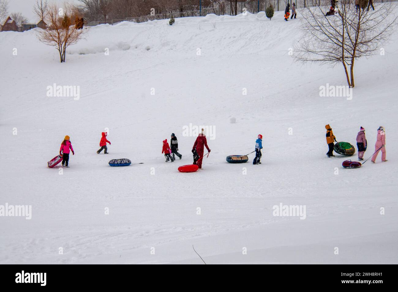 Winter moments and the beauty of winter People ride cheesecakes down ...