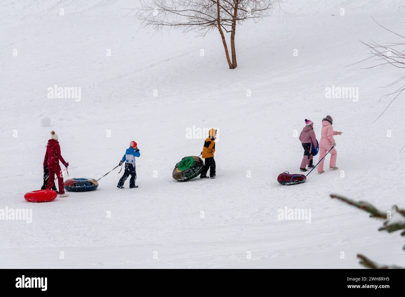 Winter moments and the beauty of winter People ride cheesecakes down ...
