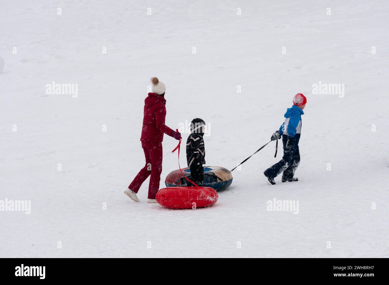 Winter moments and the beauty of winter People ride cheesecakes down ...