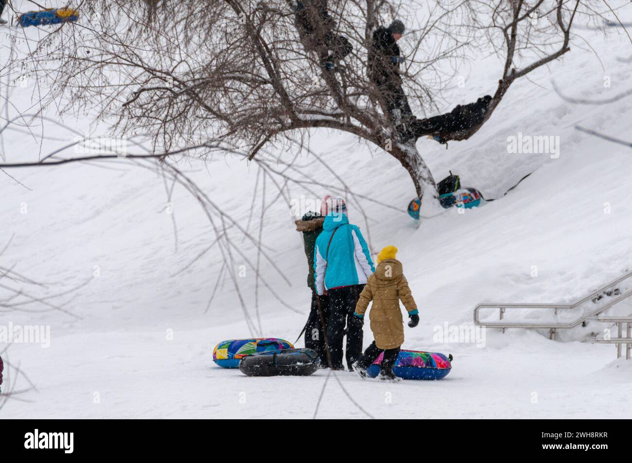 Winter moments and the beauty of winter People ride cheesecakes down ...