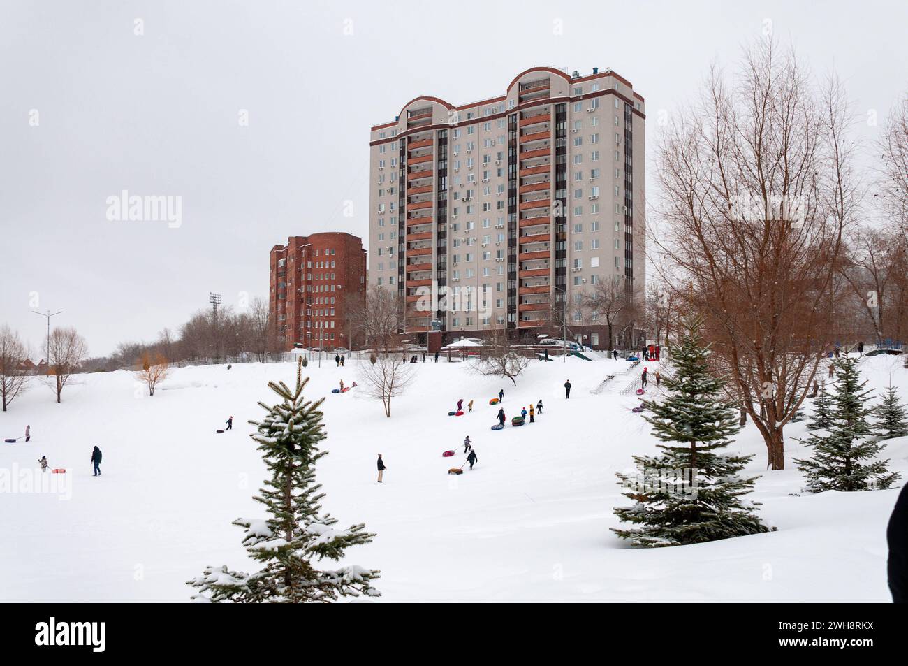 Winter moments and the beauty of winter People ride cheesecakes down ...