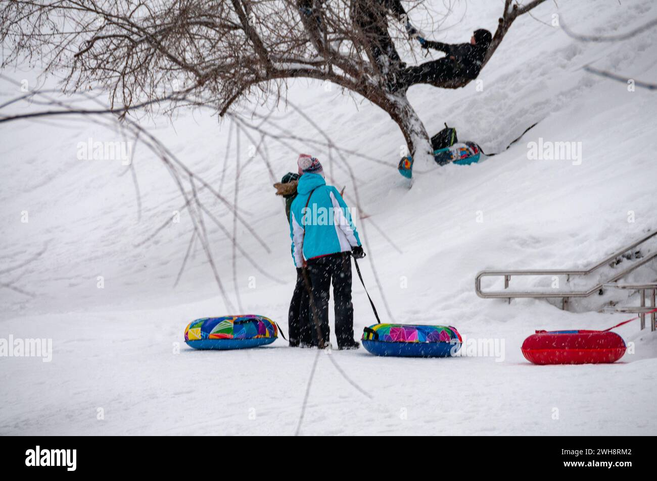 Winter moments and the beauty of winter People ride cheesecakes down ...