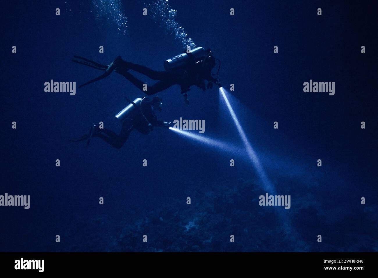 The beauty of the underwater world - a mysterious sight during a night ...