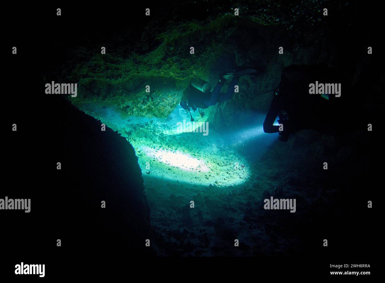 The beauty of the underwater world - a mysterious sight during a night ...