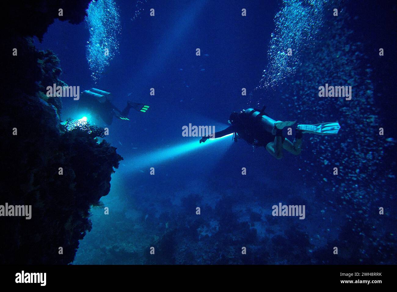 The beauty of the underwater world - a mysterious sight during a night ...