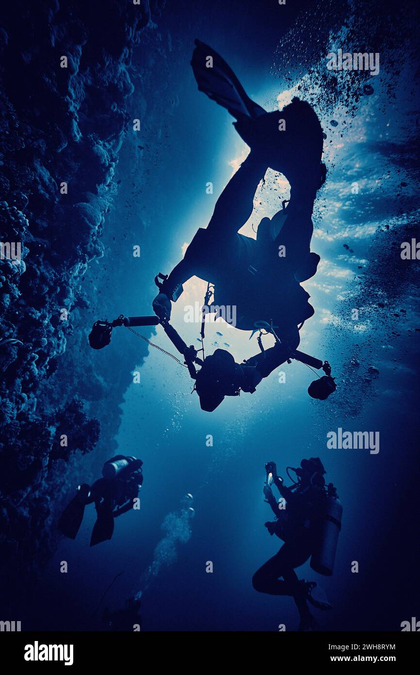 The beauty of the underwater world - underwater photographer with ...