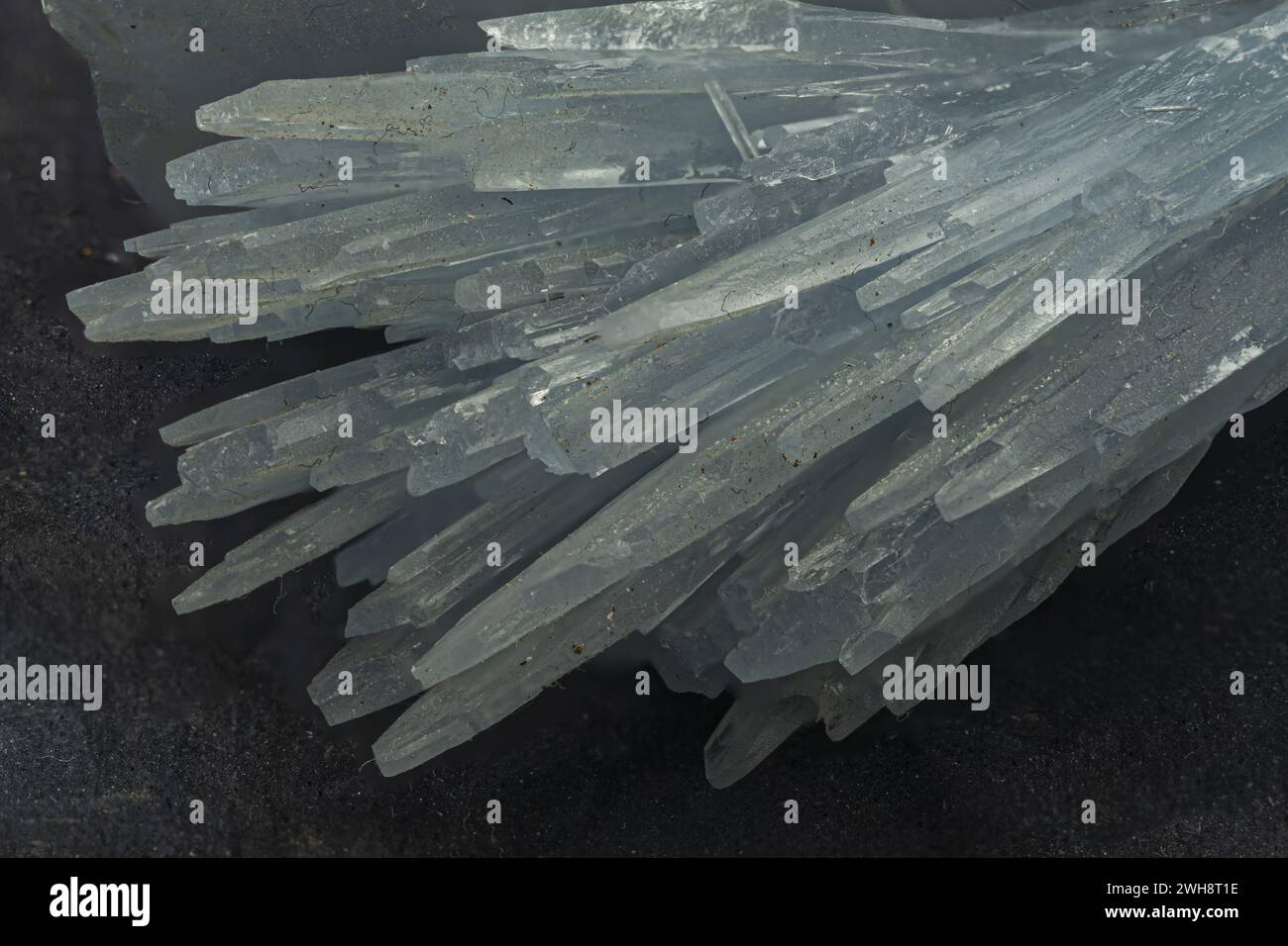 Close-up view of barite mineral crystals with sharp edges and delicate ...