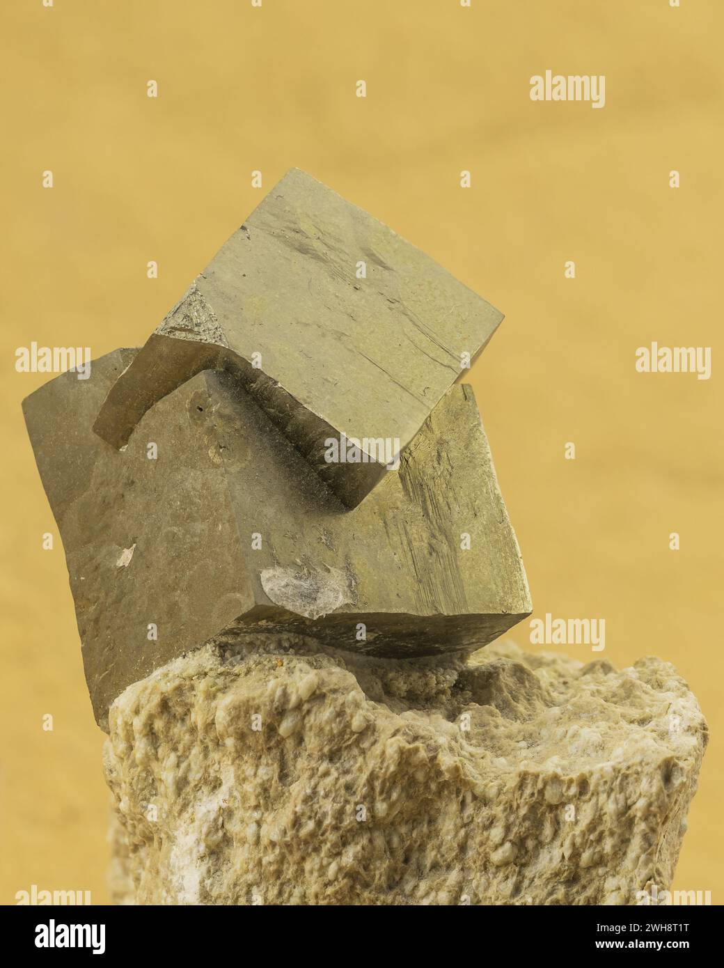 Pyrite crystal formation prominently displayed on natural rock against ...