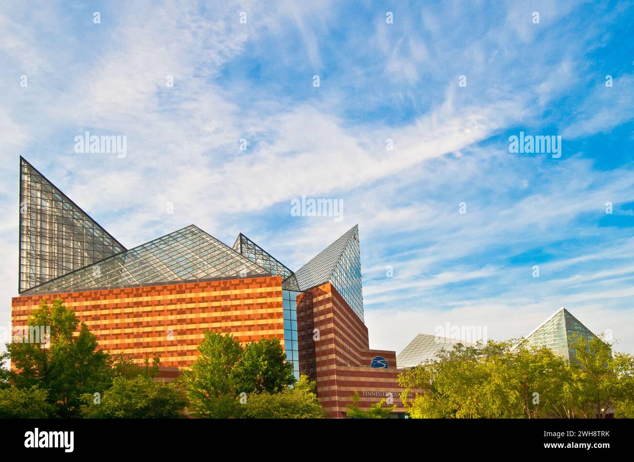 Tennessee Aquarium containing the world's largest freshwater aquarium ...