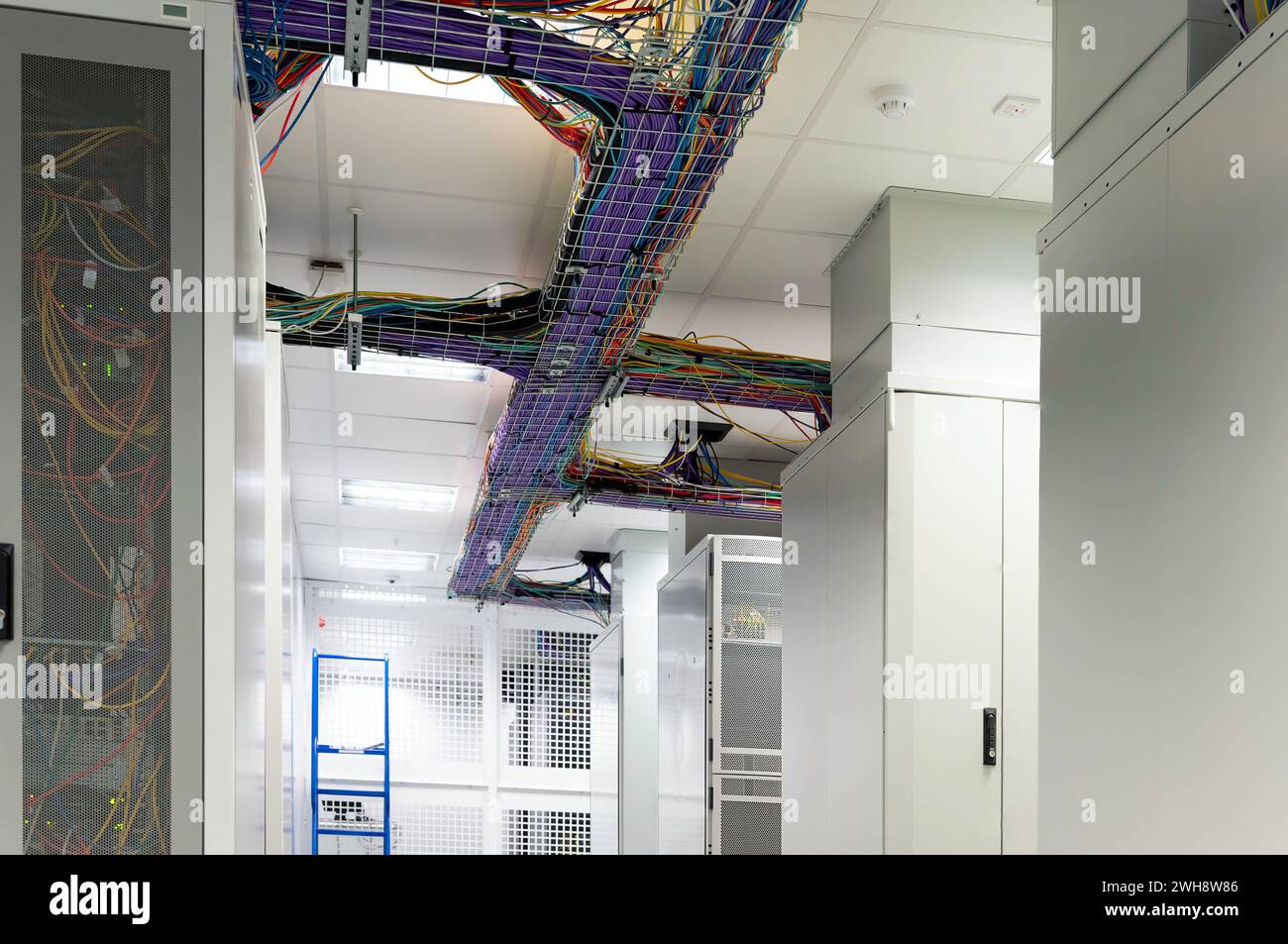 overhead racking with lots of network cables Stock Photo - Alamy
