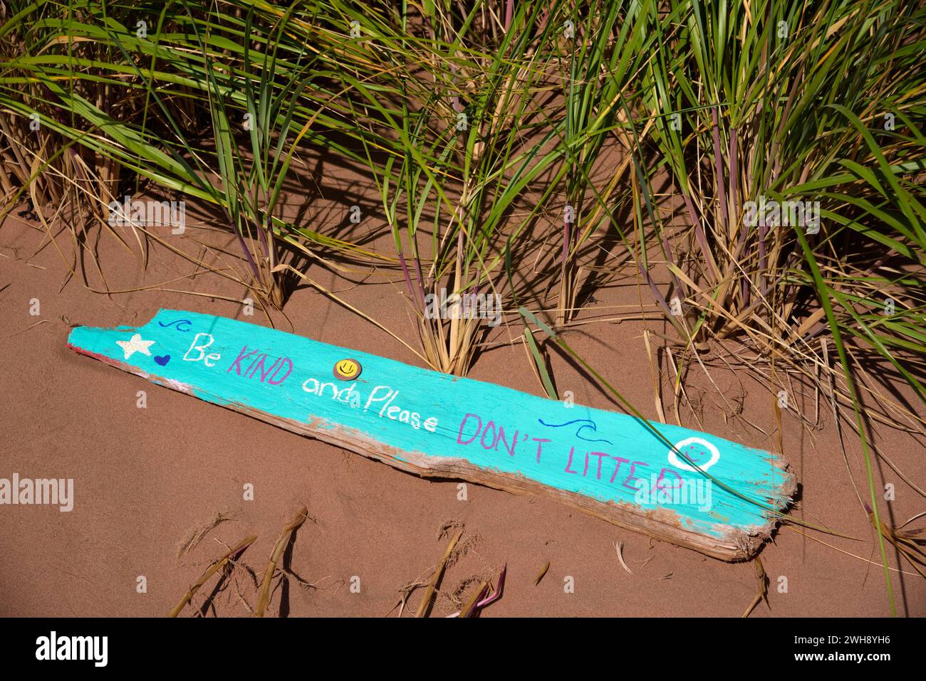 Handmade "Be kind and please don't litter" sign among beachgrass in ...