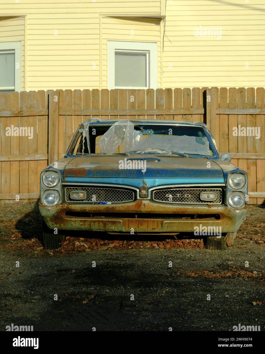 Vintage GTO car in Riverside, Buffalo, New York Stock Photo - Alamy