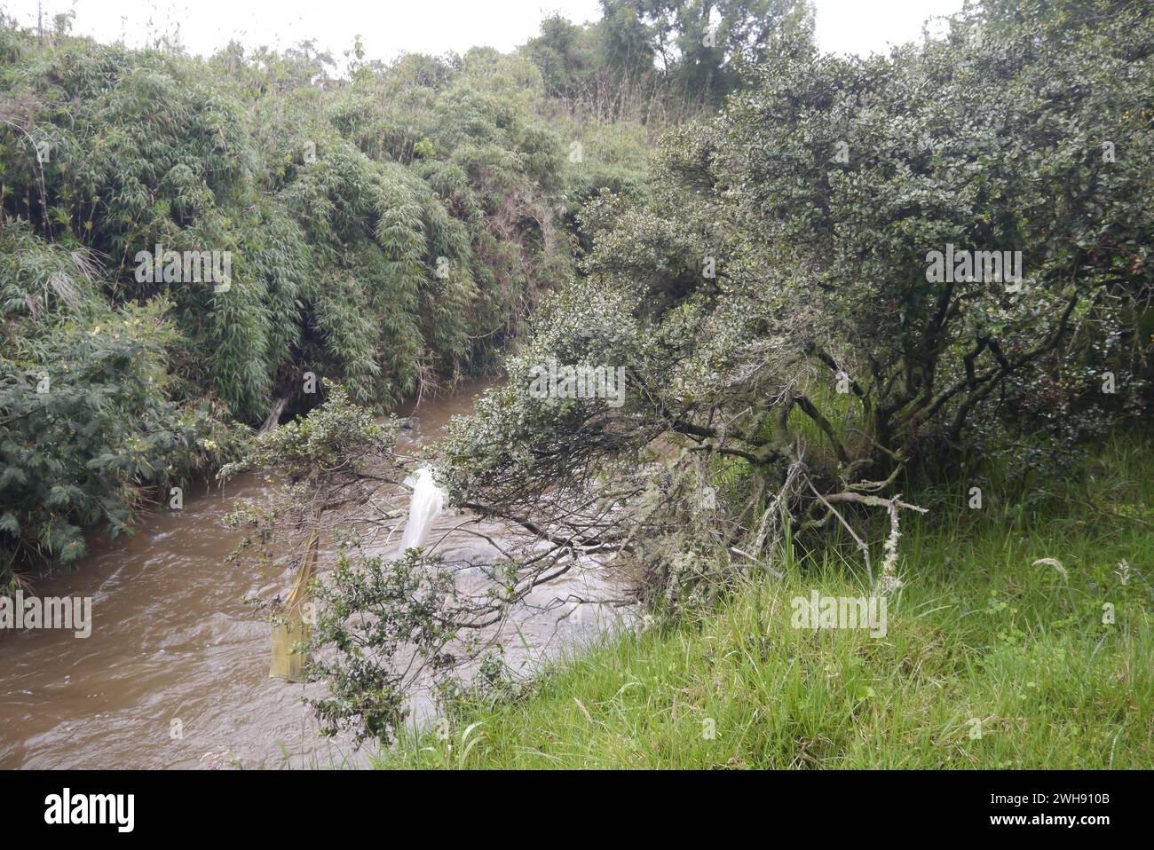 Connatural hi-res stock photography and images - Alamy