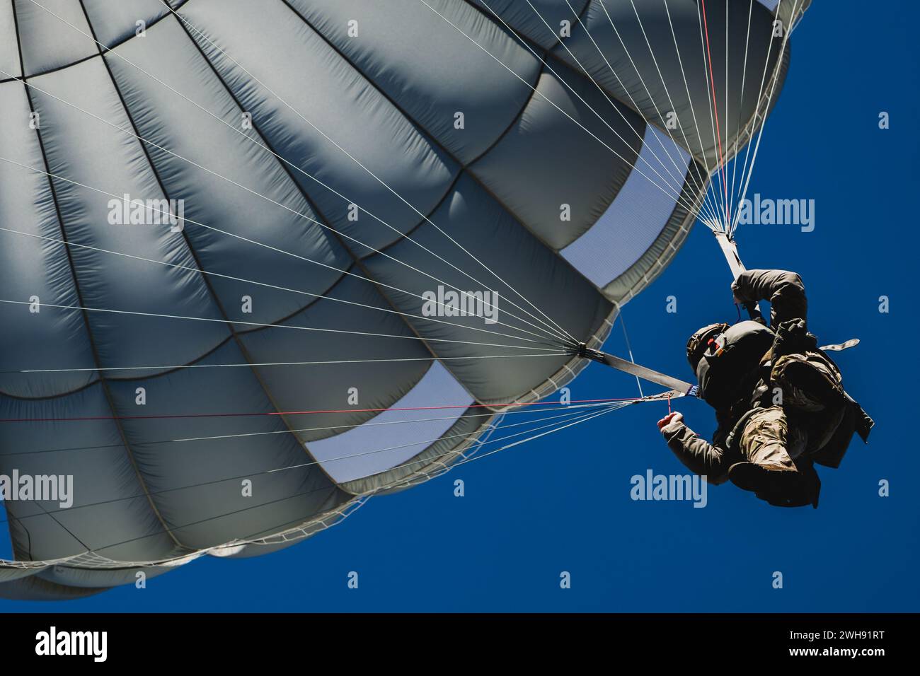 A special operations forces Soldier descends toward MacDill Air Force ...