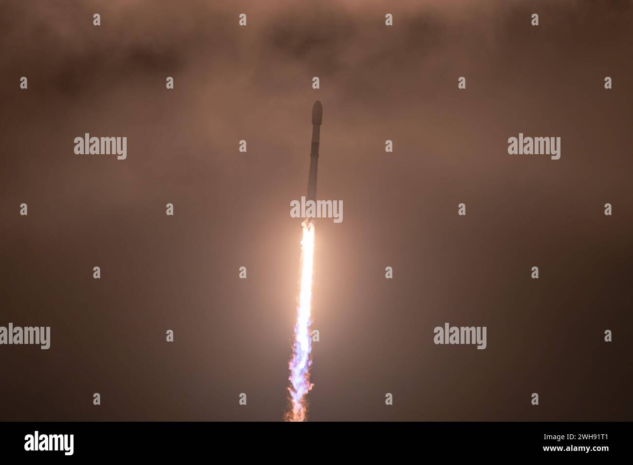 A Falcon 9 rocket supporting the PACE mission launches from Space ...
