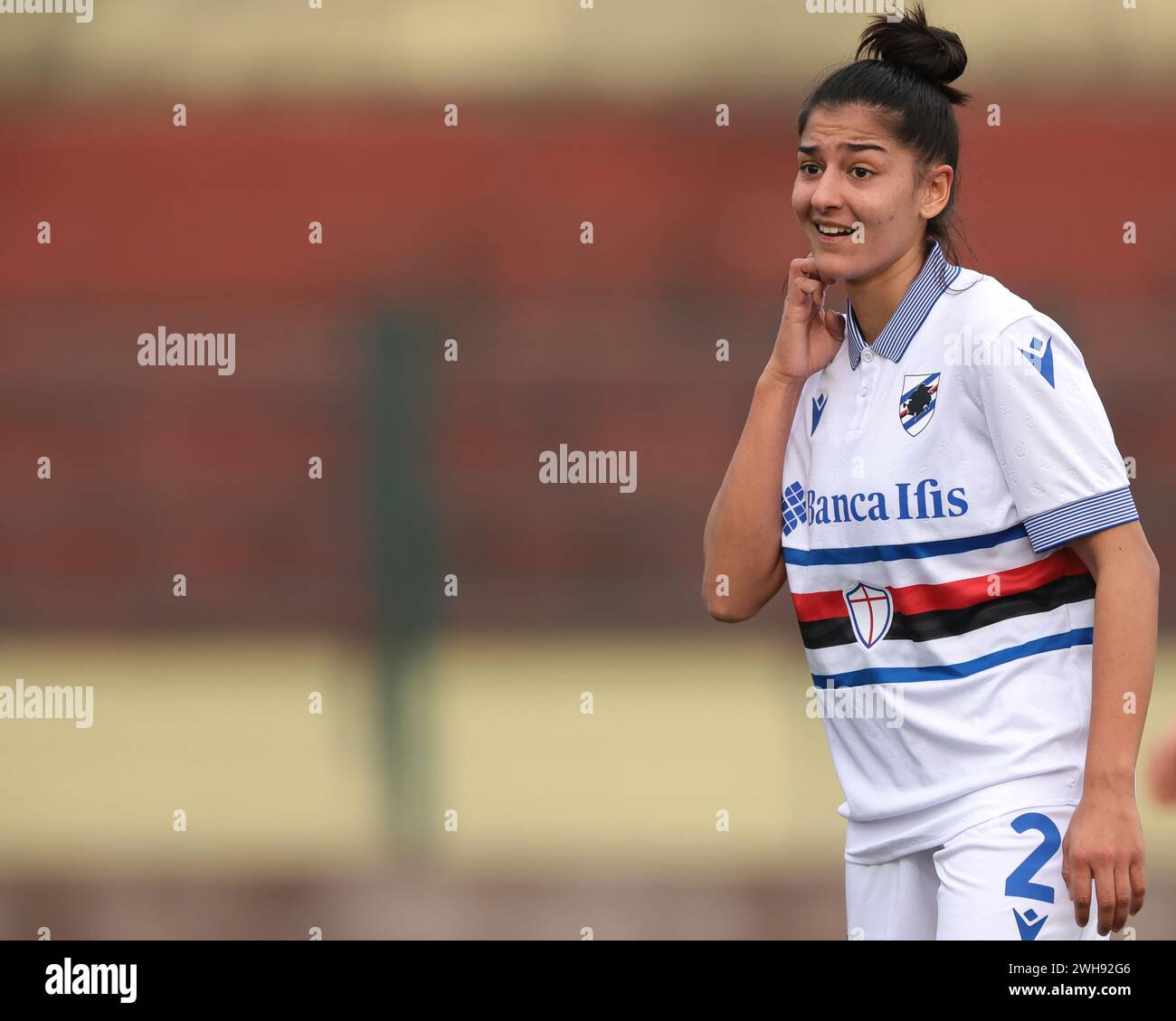 Vanessa panzeri hi-res stock photography and images - Alamy