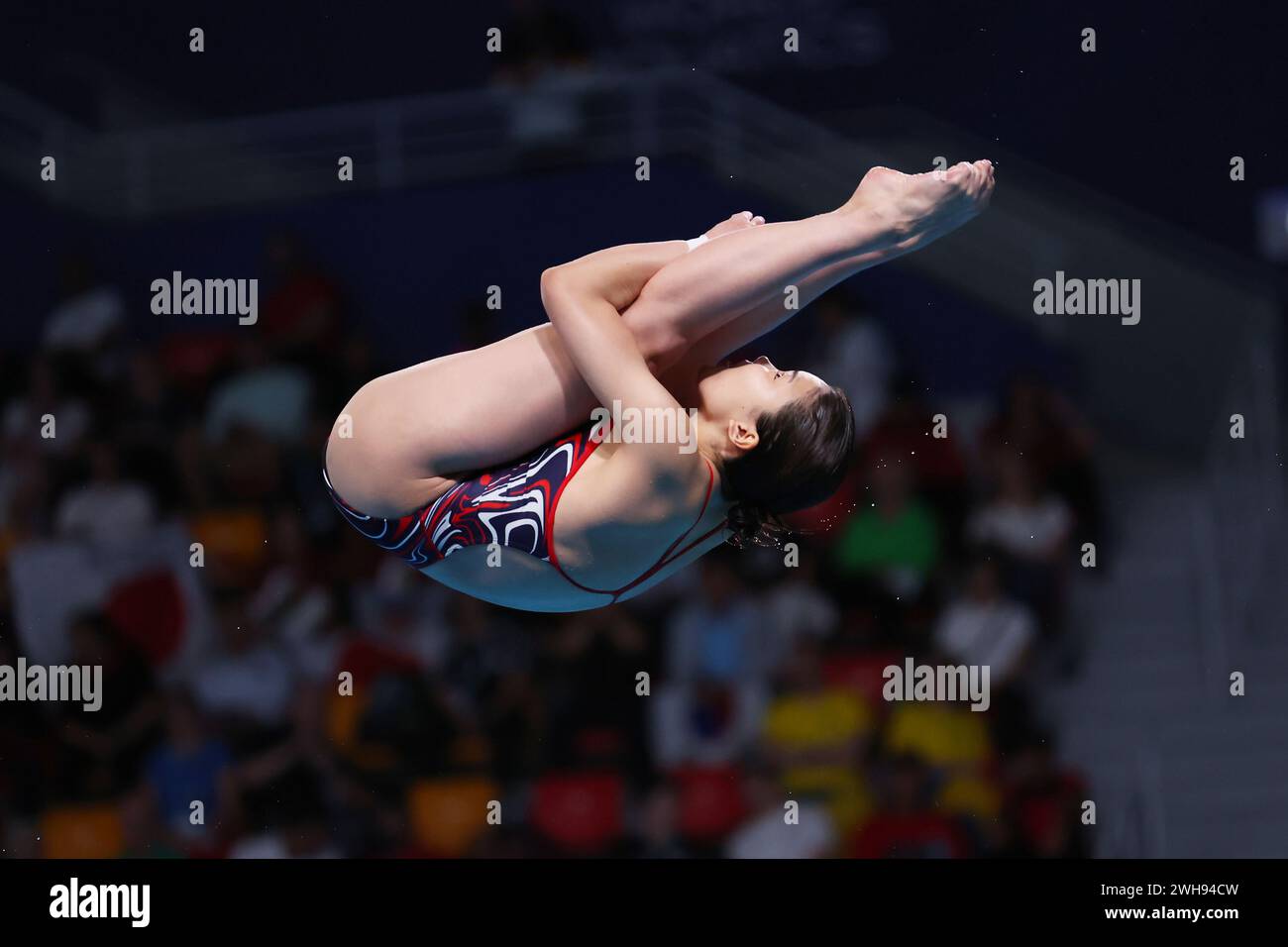 Doha, Qatar. 8th Feb, 2024. Haruka Enomoto (JPN) Diving : World ...