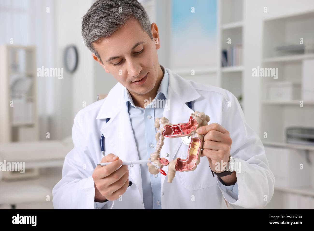 Gastroenterologist showing anatomical model of large intestine in ...