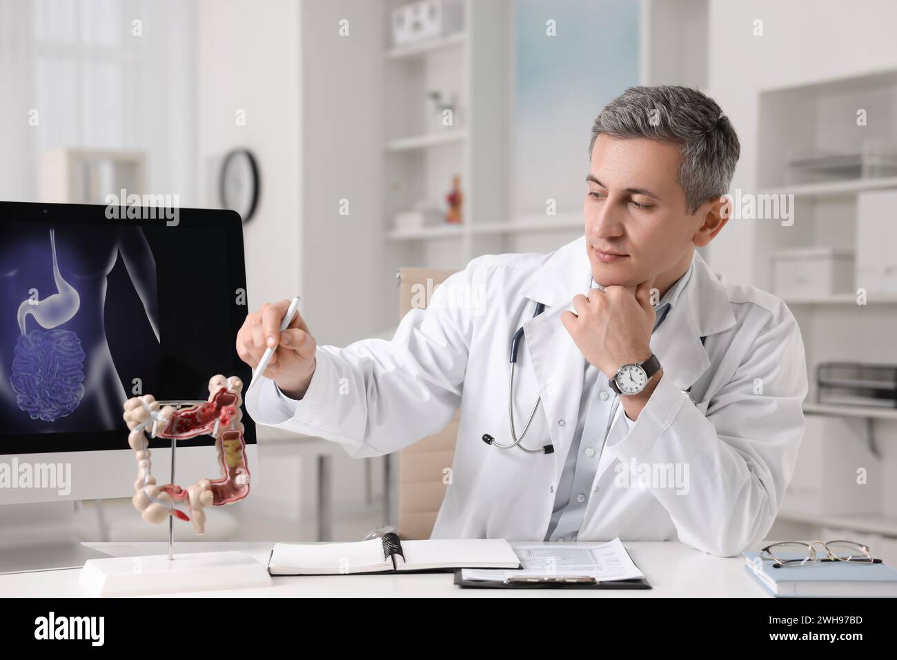 Gastroenterologist showing anatomical model of large intestine at table ...
