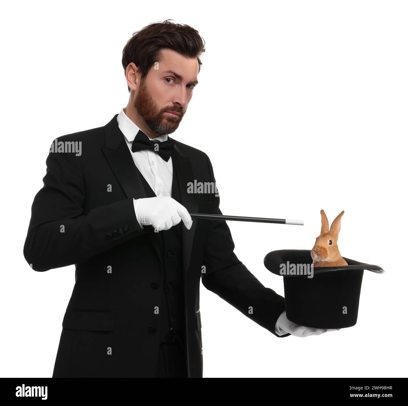 Magician showing trick with top hat and rabbit on white background ...
