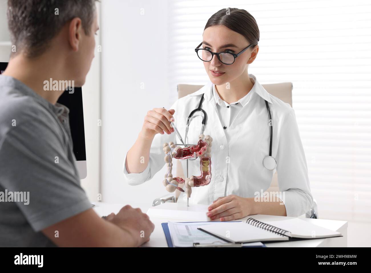 Gastroenterologist with anatomical model of large intestine consulting ...