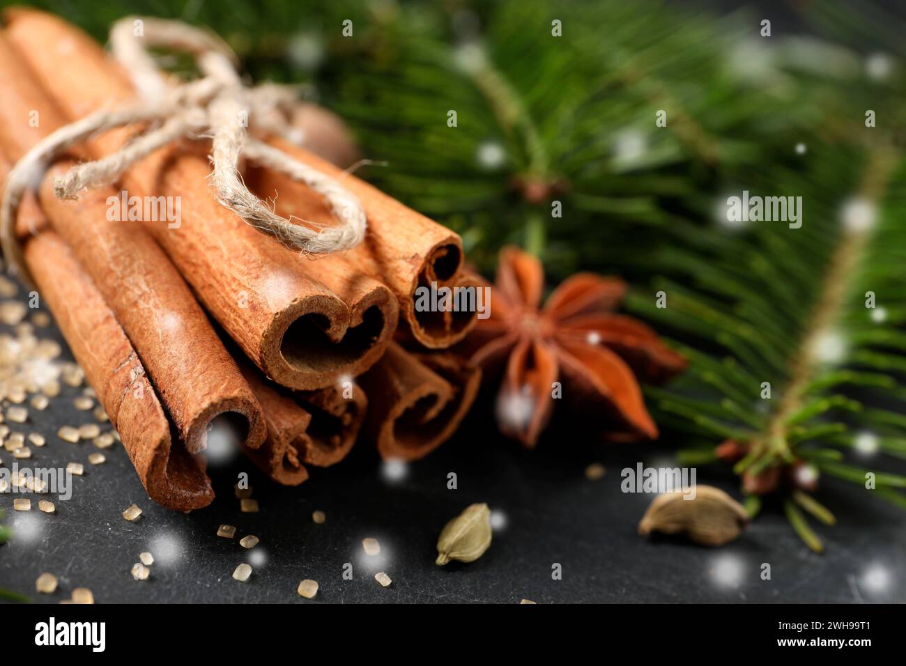 Cardamom tree hi-res stock photography and images - Alamy