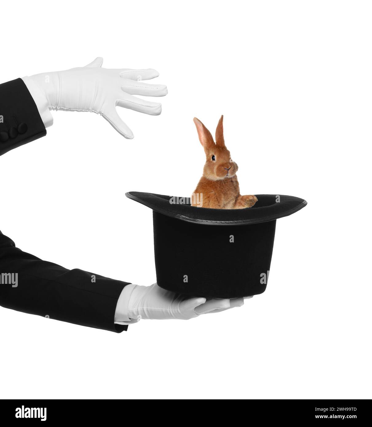 Magician showing trick with top hat and rabbit on white background ...