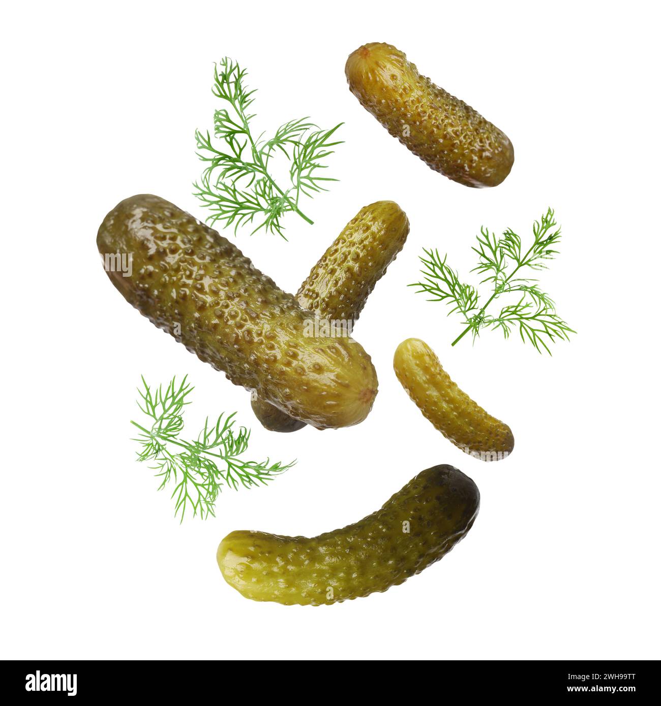 Tasty pickled cucumbers and dill falling on white background Stock ...