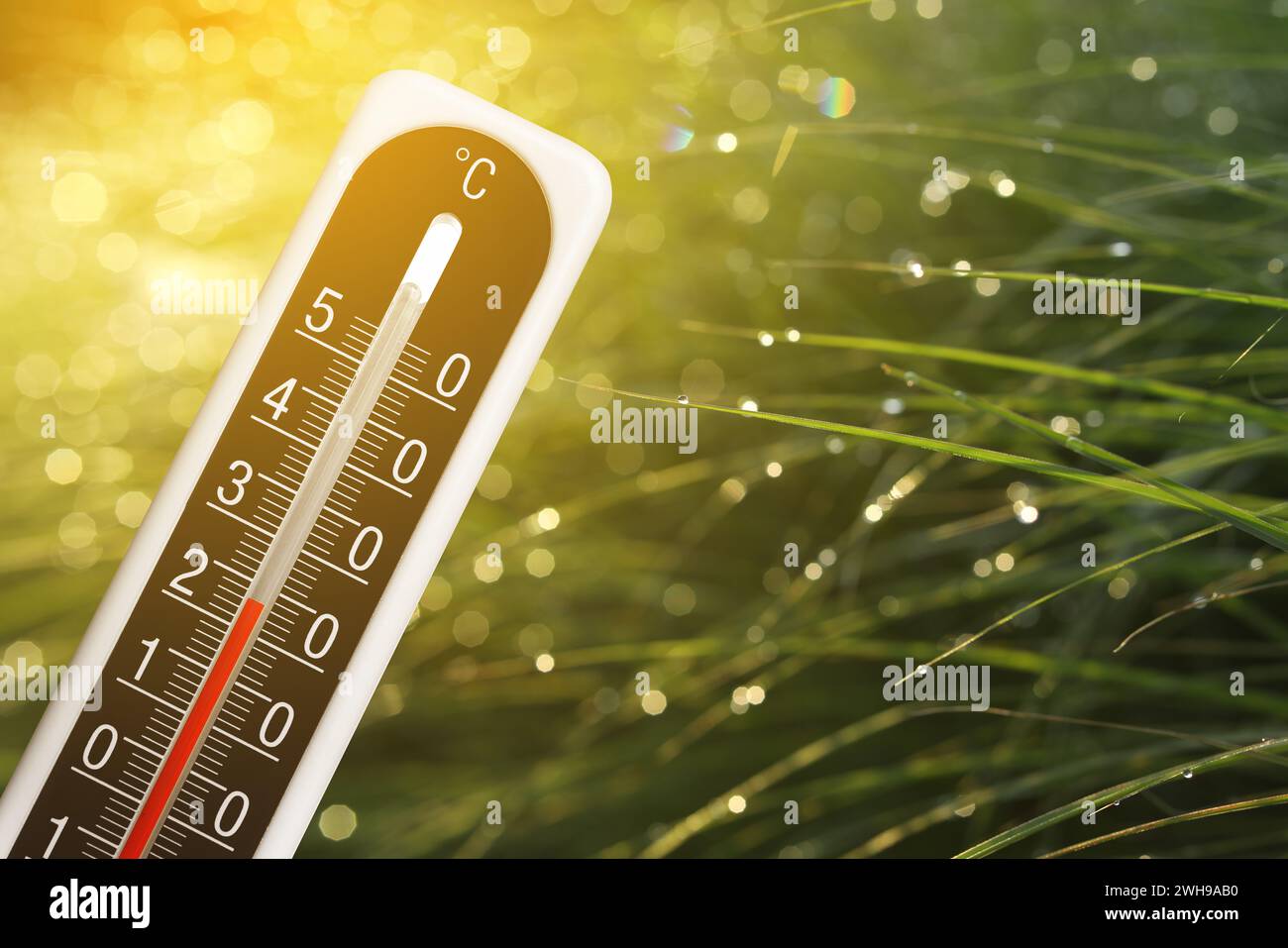 Outside garden thermometer hi-res stock photography and images - Alamy