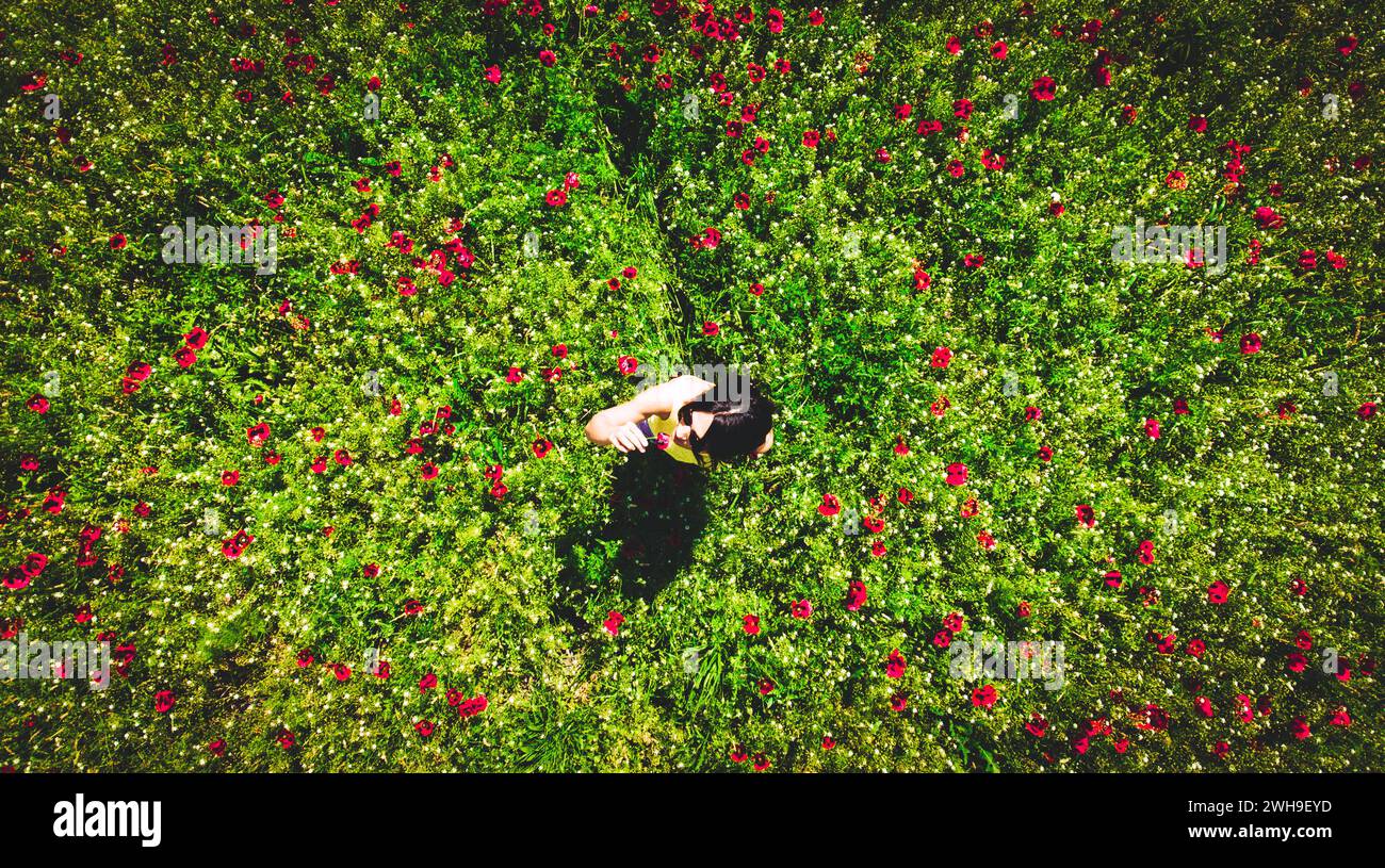 Top view caucasian woman enjoy spring relax hold in hand smell tulips ...