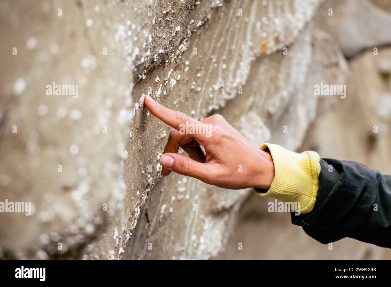 Shell fossils hi-res stock photography and images - Alamy
